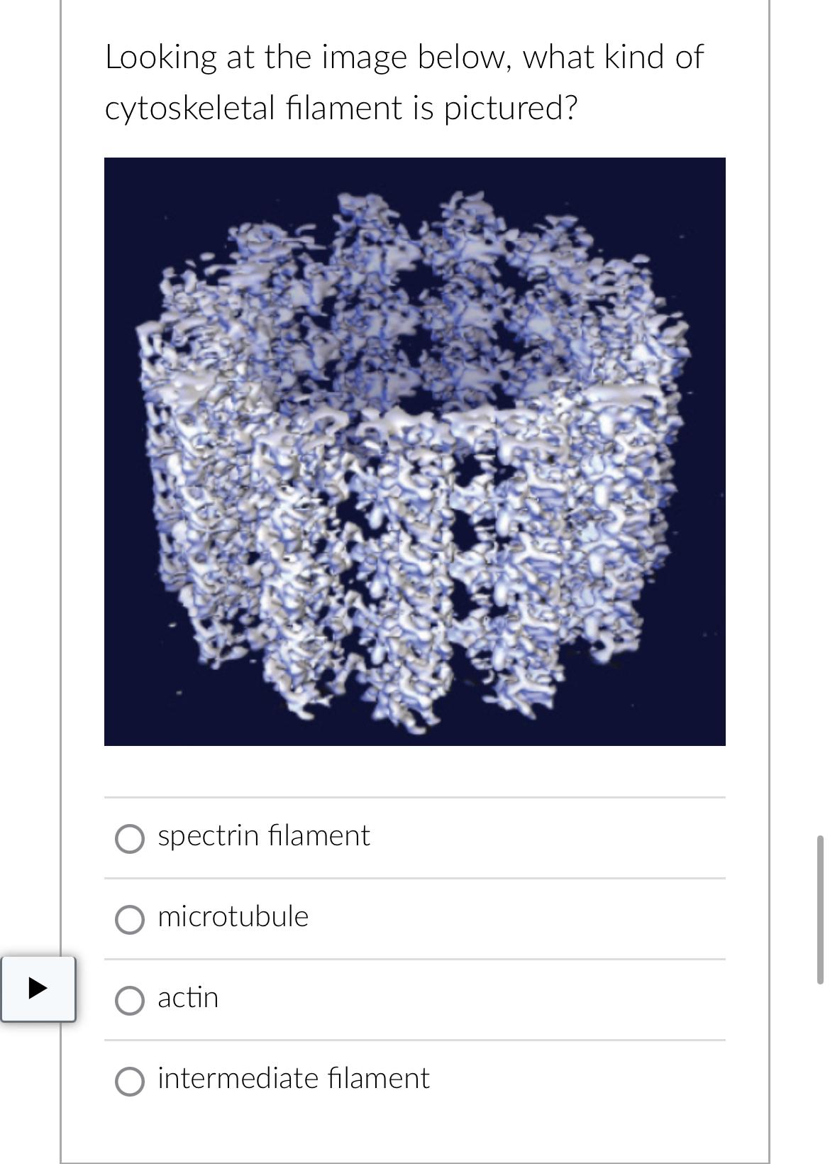Solved Looking at the image below, what kind of cytoskeletal | Chegg.com