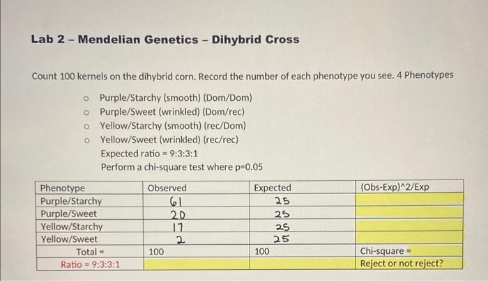 Solved Count 100 kernels on the dihybrid corn. Record the | Chegg.com