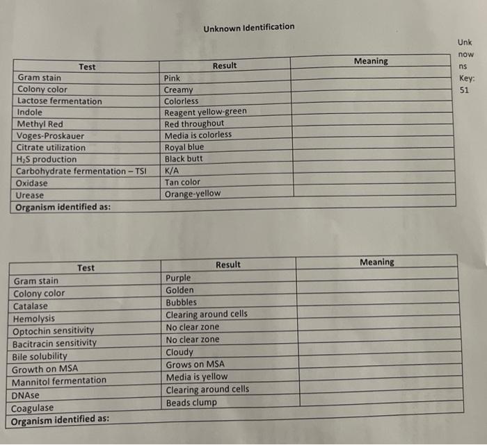 Solved Unknown Identification | Chegg.com