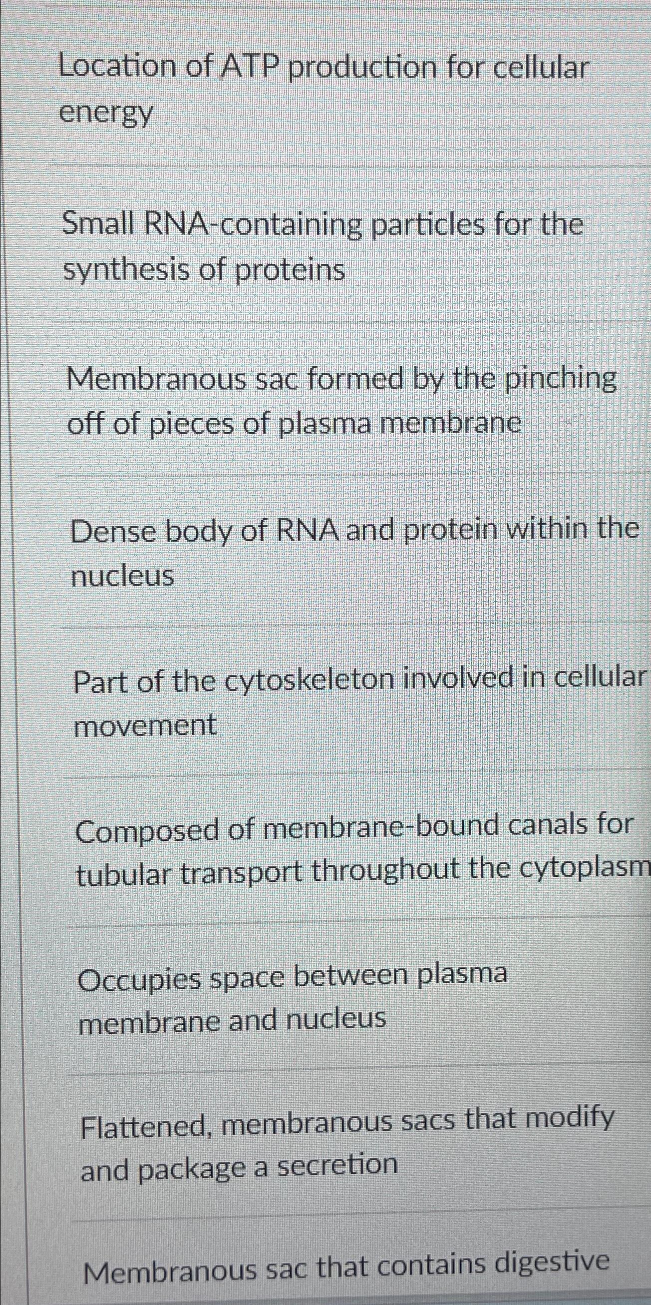 Solved Location of ATP production for cellular energySmall | Chegg.com