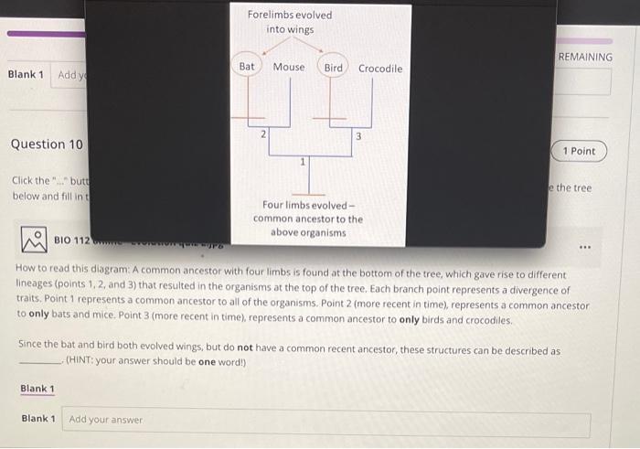 Solved How to read this diagram: A common ancestor with four | Chegg.com