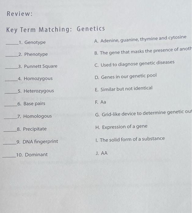 Solved Review: Key Term Matching: Genetics _1. Genotype A. | Chegg.com