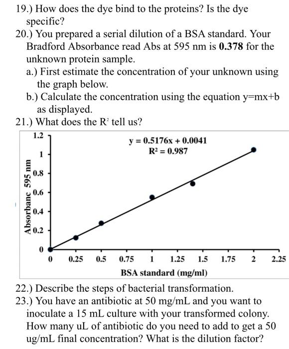 Solved 19.) How does the dye bind to the proteins? Is the | Chegg.com