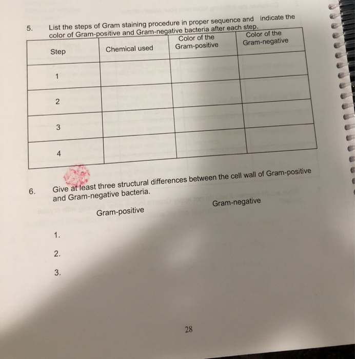 Solved 5. List the steps of Gram staining procedure in | Chegg.com