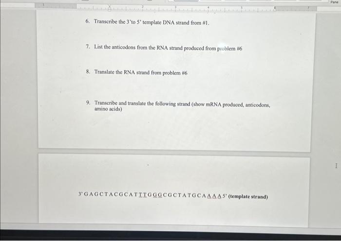 Solved Replication, Transcription, Translation Practice 1. | Chegg.com