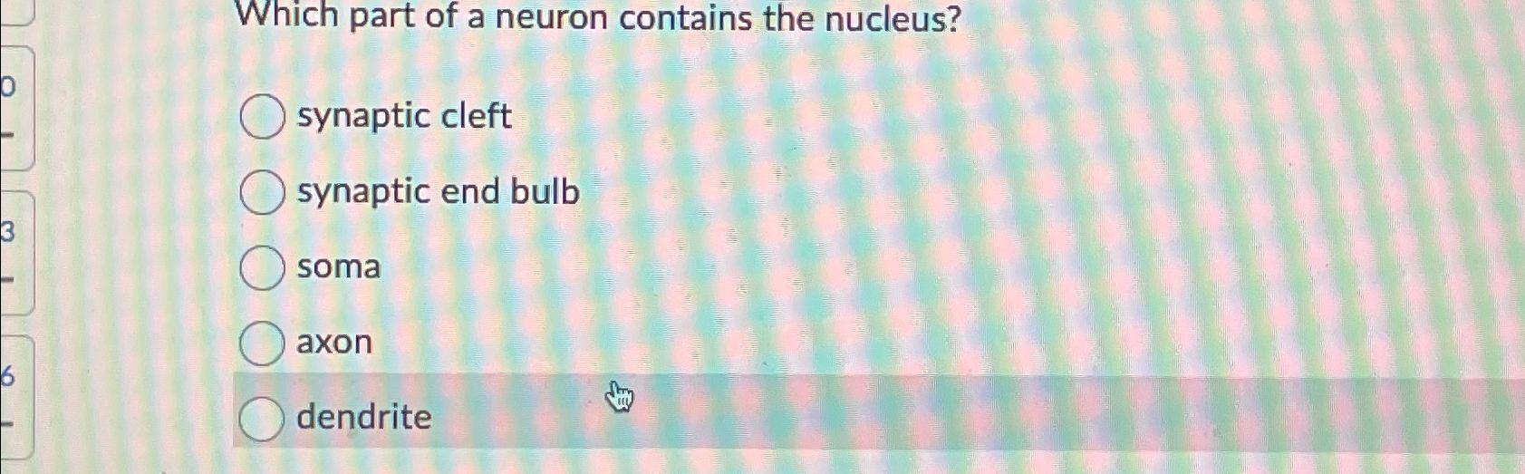 Solved Which part of a neuron contains the nucleus?synaptic | Chegg.com