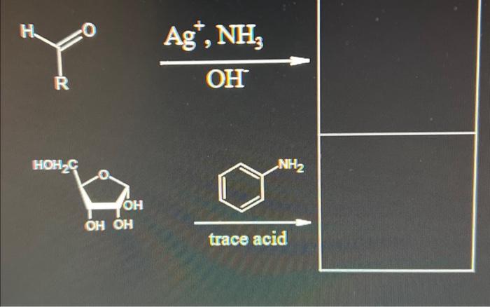 Solved OH−Ag+,NH3 | Chegg.com