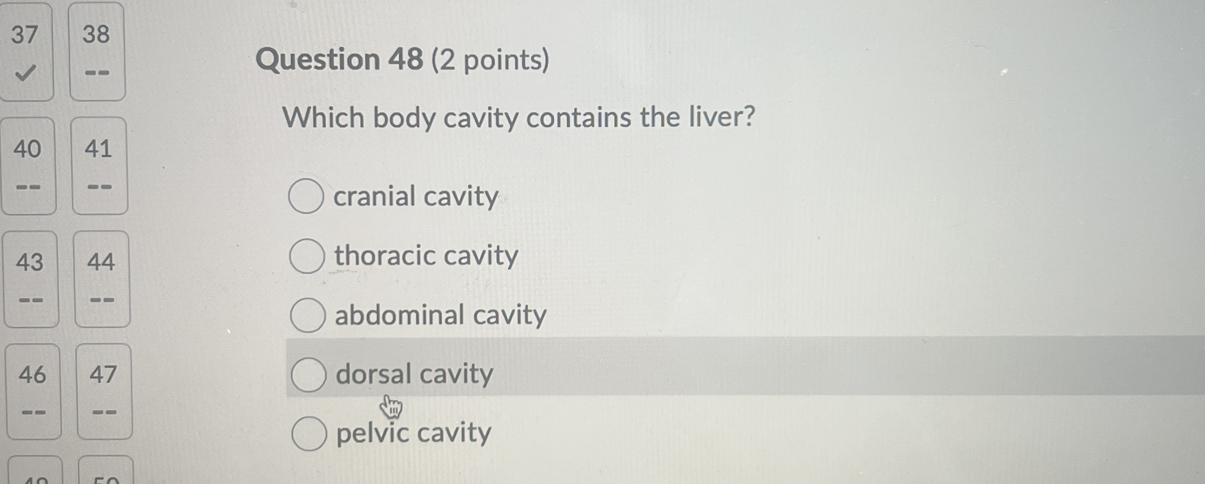 Solved Question 48 (2 ﻿points)Which body cavity contains the | Chegg.com
