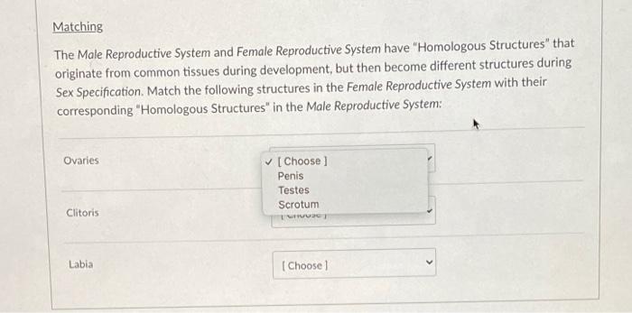 Solved Matching The Male Reproductive System and Female | Chegg.com