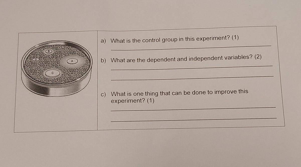 Solved a) ﻿What is the control group in this experiment? | Chegg.com