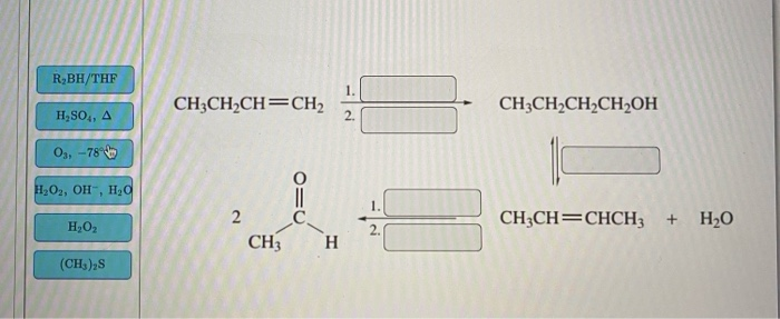 Solved R BH/THF 1. CH3CH2CH=CH2 CH3CH2CH2CH2OH H,SO, A 2. | Chegg.com