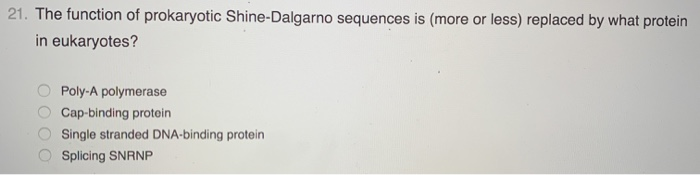 Solved 21. The function of prokaryotic Shine-Dalgarno | Chegg.com