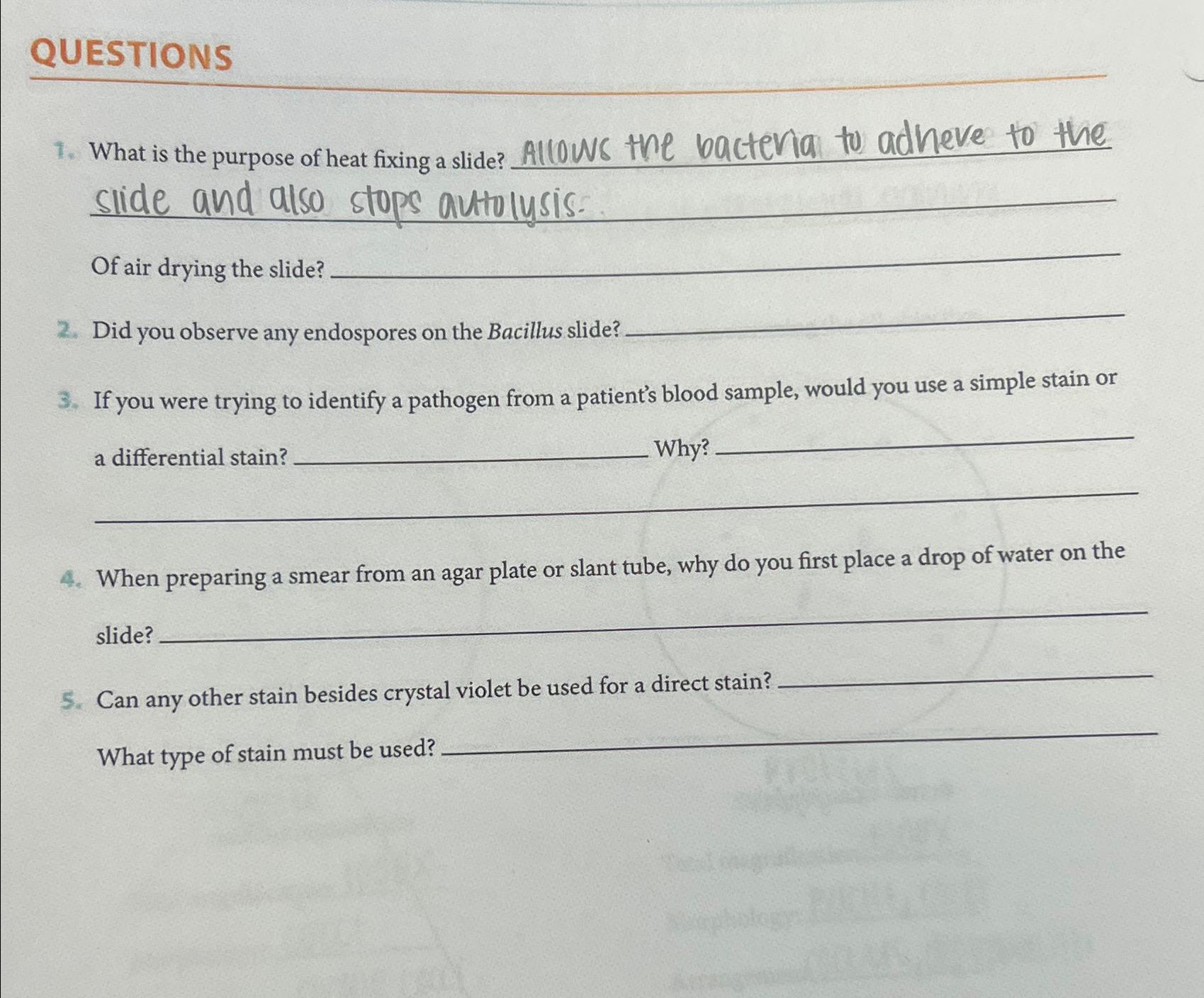 Solved QUESTIONSWhat is the purpose of heat fixing a slide? | Chegg.com