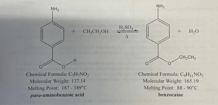 Solved NH2 NH2 + CH,CHOH H2SO4 Δ + HO CH2CH3 H Chemical | Chegg.com