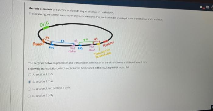 Solved Genetic elements are specific nucleotide sequences | Chegg.com