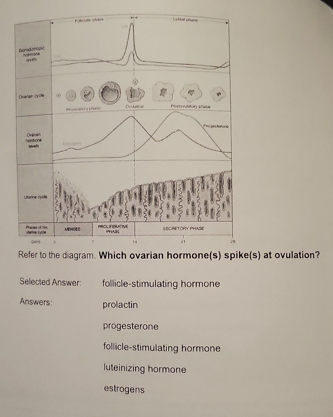 Solved Refer to the diagram. Which ovarian hormone(s) | Chegg.com