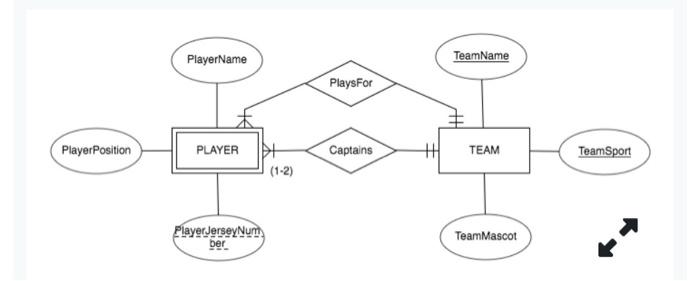 Solved create a schema on erdplus for the imsge below | Chegg.com