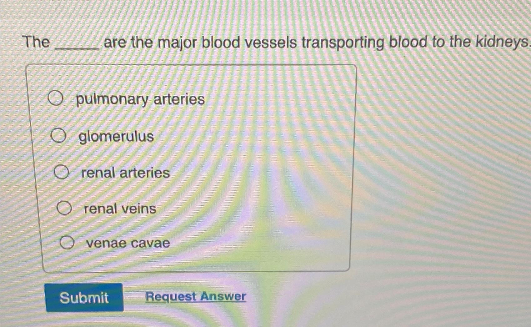 Solved The are the major blood vessels transporting blood to | Chegg.com
