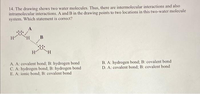Solved 14. The drawing shows two water molecules. Thus, | Chegg.com