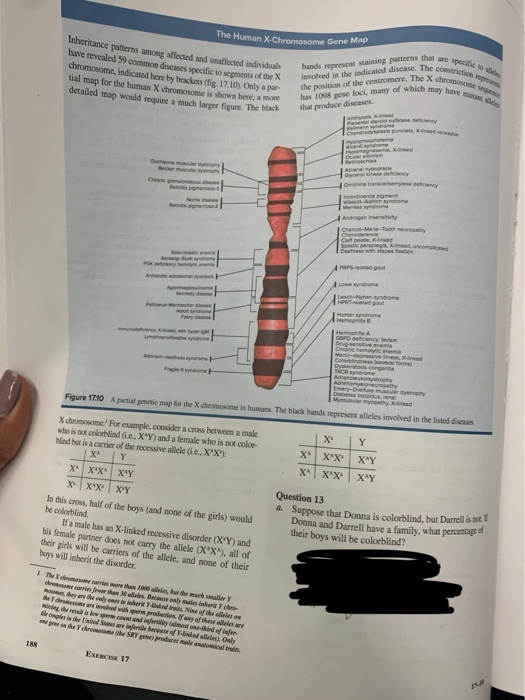 Solved The Human X-Chromosome Gene Map Inheritance patterns | Chegg.com