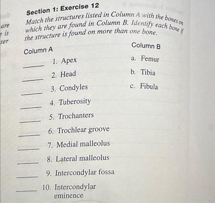 Solved Section 1: Exercise 12 Match the structures listed in | Chegg.com