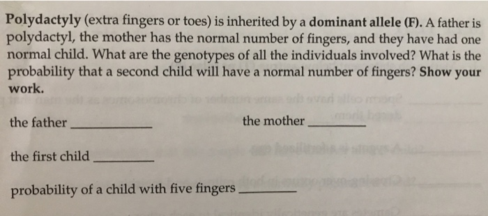 Solved Polydactyly (extra fingers or toes) is inherited by a | Chegg.com