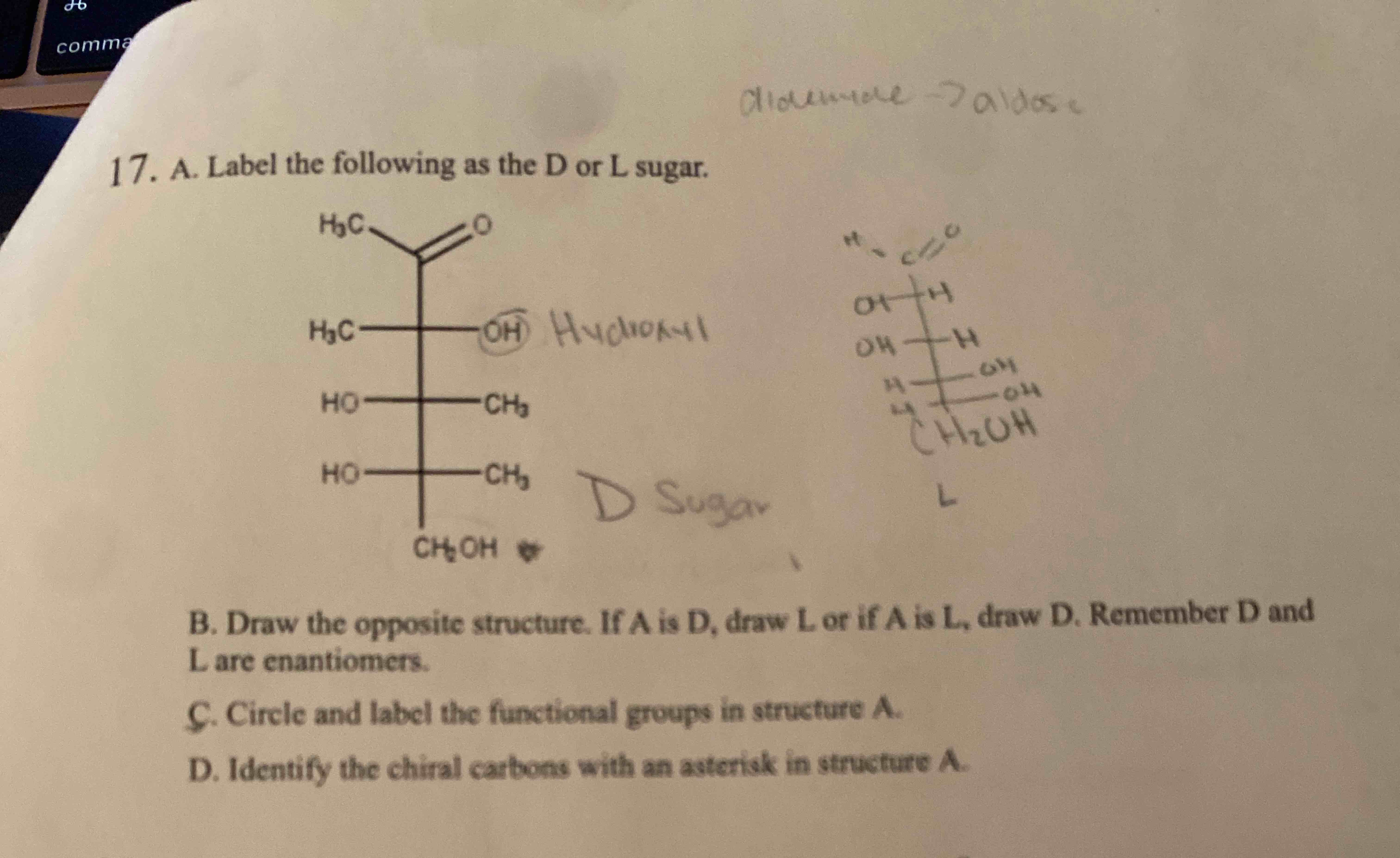 Solved didemmere \( \rightarrow \) ﻿aldos 17. ﻿A. ﻿Label the | Chegg.com