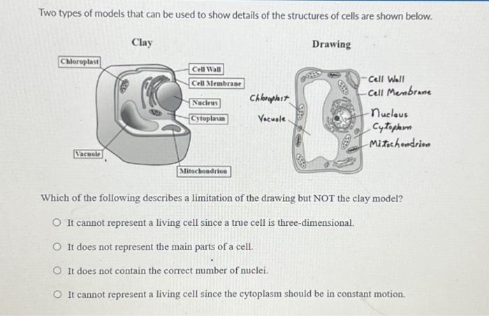 Solved Two types of models that can be used to show details | Chegg.com