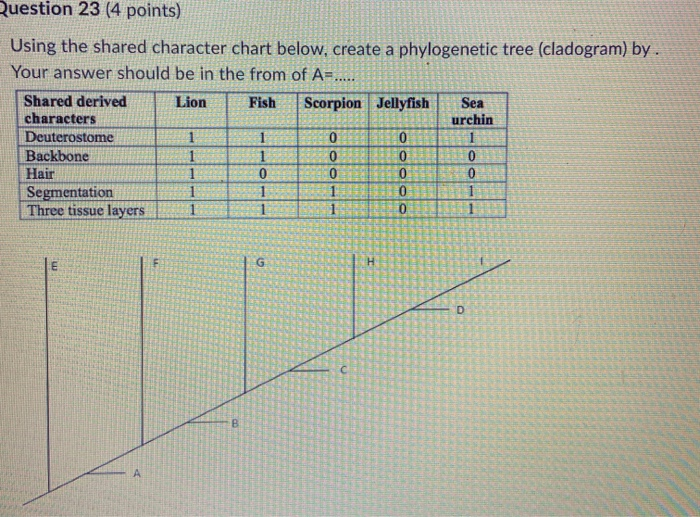 Solved Question 23 (4 points) Using the shared character | Chegg.com