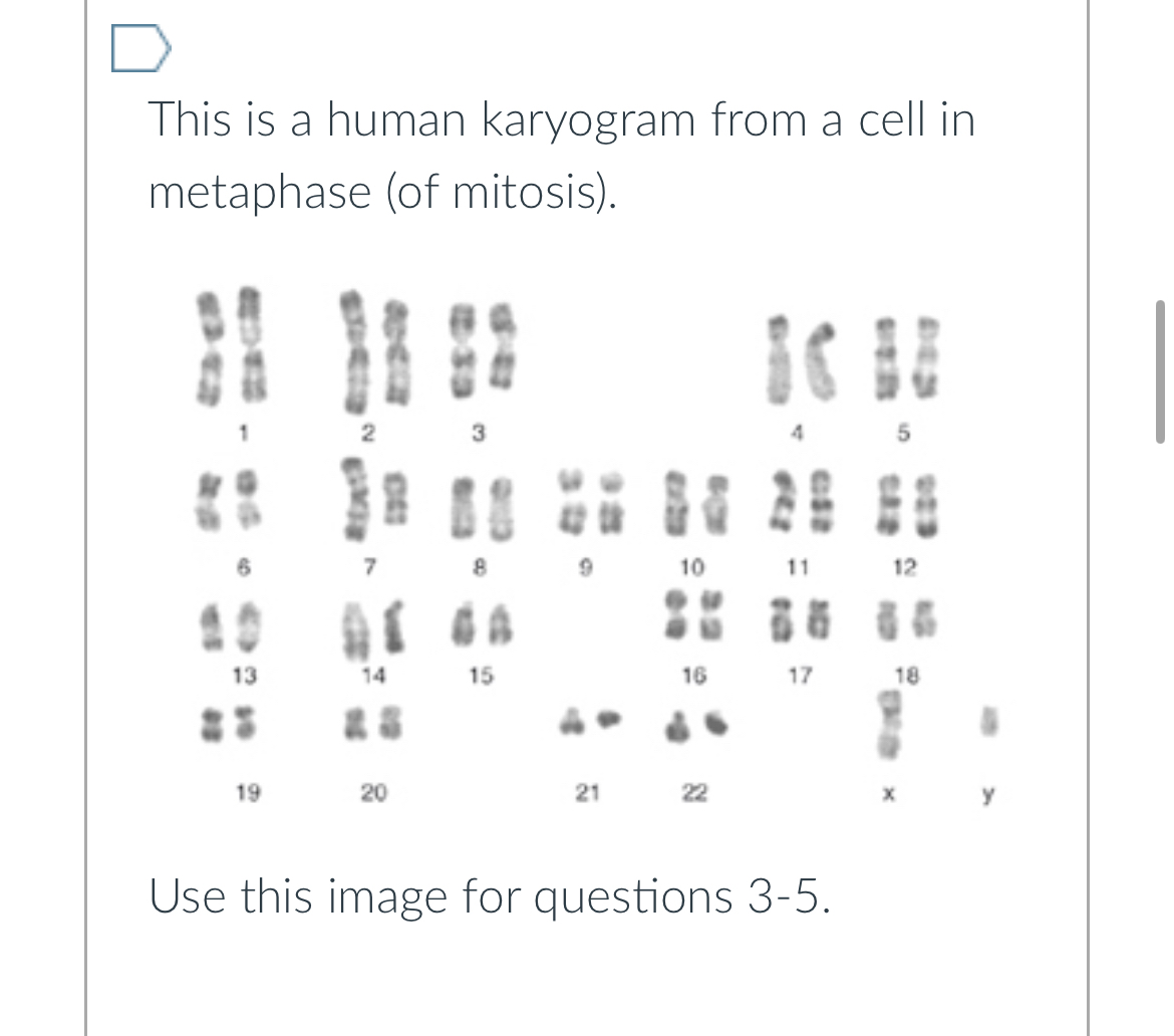 Solved This is a human karyogram from a cell in metaphase | Chegg.com