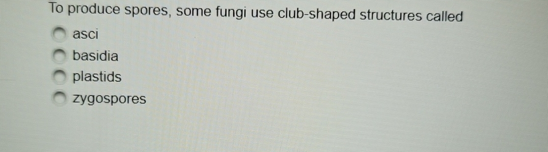 Solved To produce spores, some fungi use club-shaped | Chegg.com