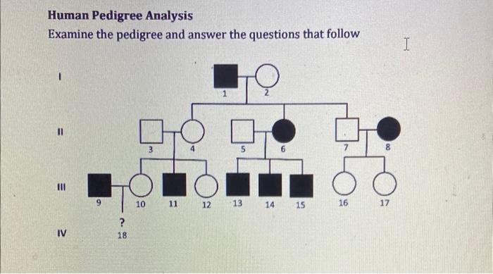 Solved Human Pedigree Analysis Examine the pedigree and | Chegg.com