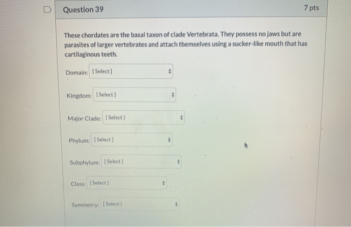 Solved Question 39 7 pts These chordates are the basal taxon | Chegg.com