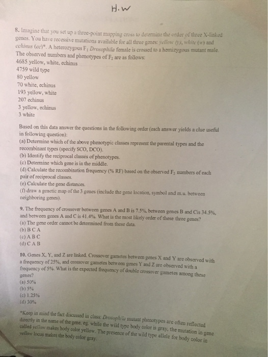Solved How 8. Imagine that you set up a three-point mapping | Chegg.com