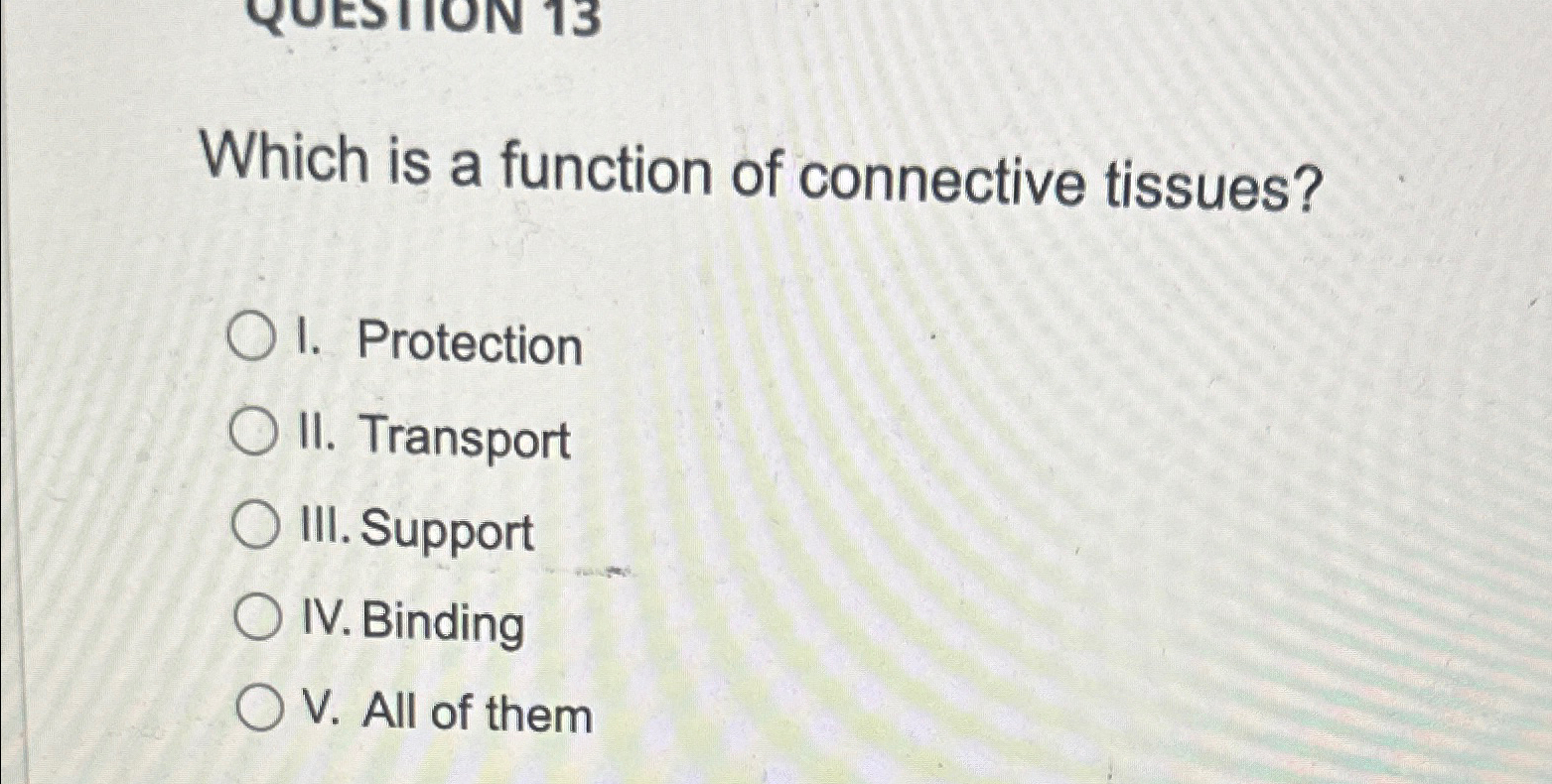 Solved Which is a function of connective tissues?I. | Chegg.com