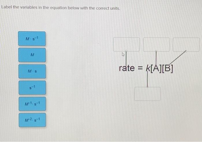 Solved Label the variables in the equation below with the | Chegg.com