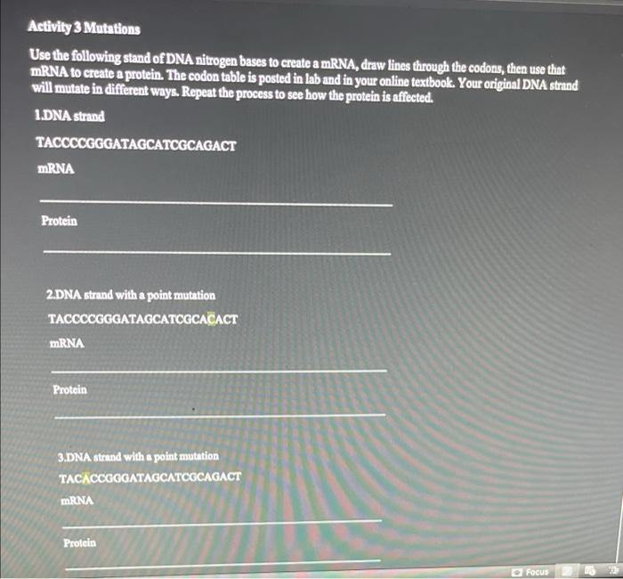 Solved Activity 3 Mutations Use the following stand of DNA | Chegg.com