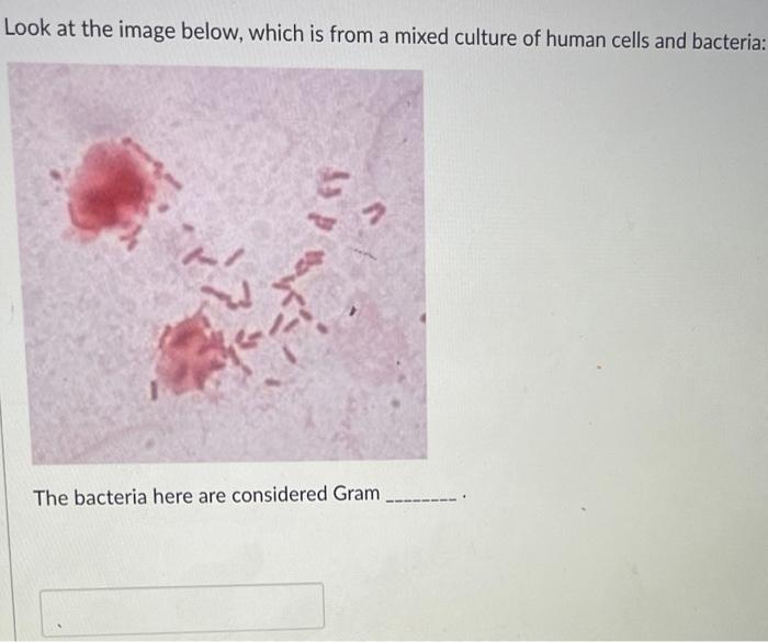 Solved Look at the image below, which is from a mixed | Chegg.com