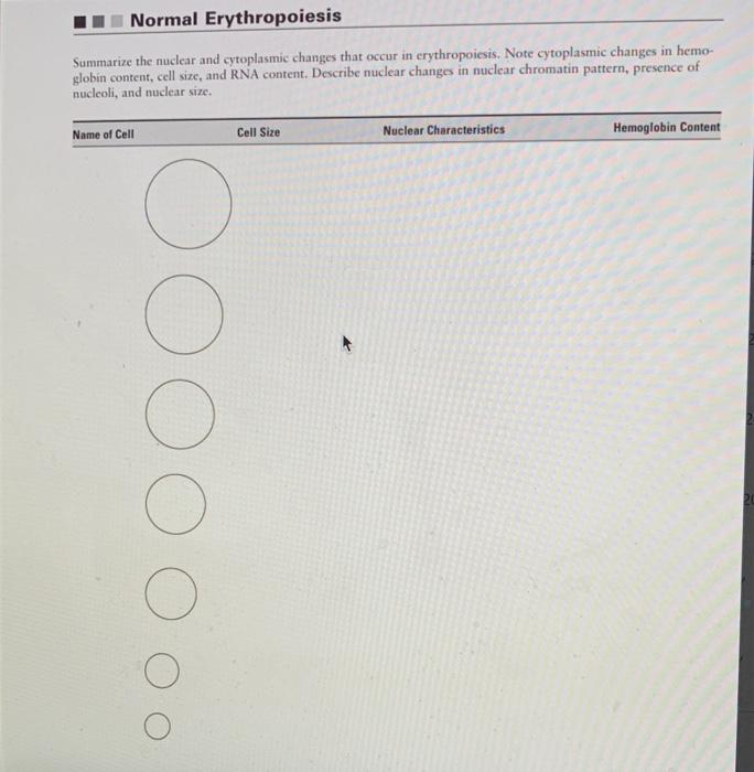 Solved just help with the details 1. Pronormoblast 2. | Chegg.com