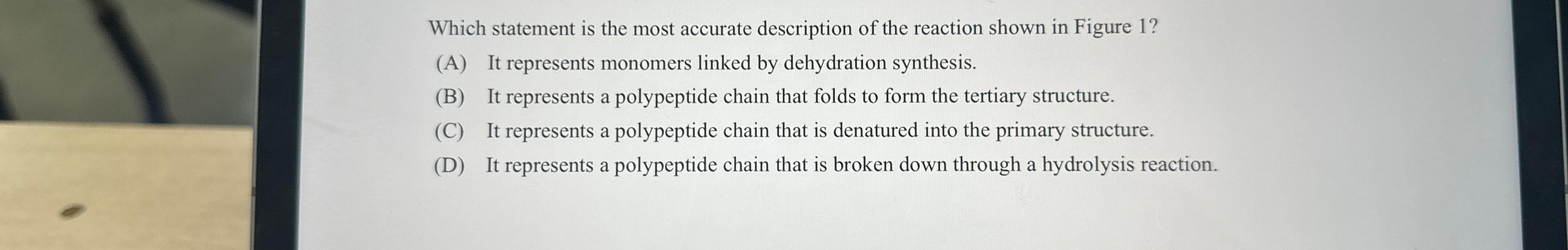 Solved Which statement is the most accurate description of | Chegg.com