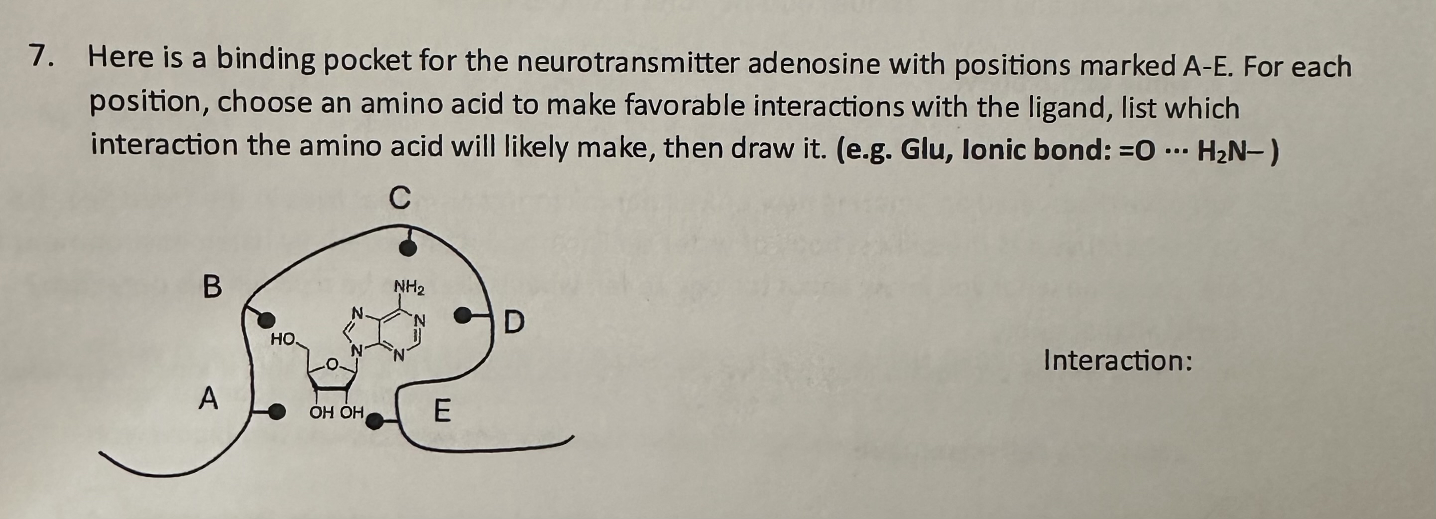 Solved Here is a binding pocket for the neurotransmitter | Chegg.com