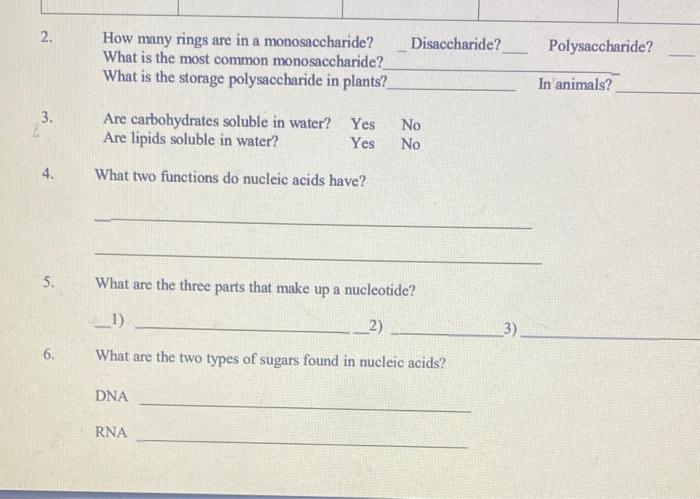 Solved 1 / 1 100% Macromolecule Worksheet What are the | Chegg.com