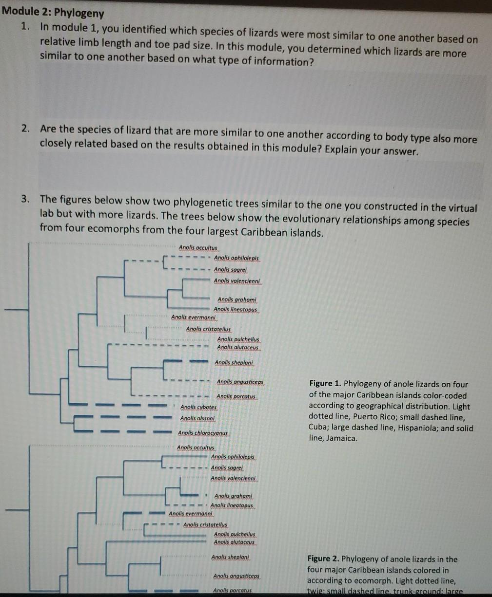 Solved 5. How is an ecomorph different from a species? 6. | Chegg.com