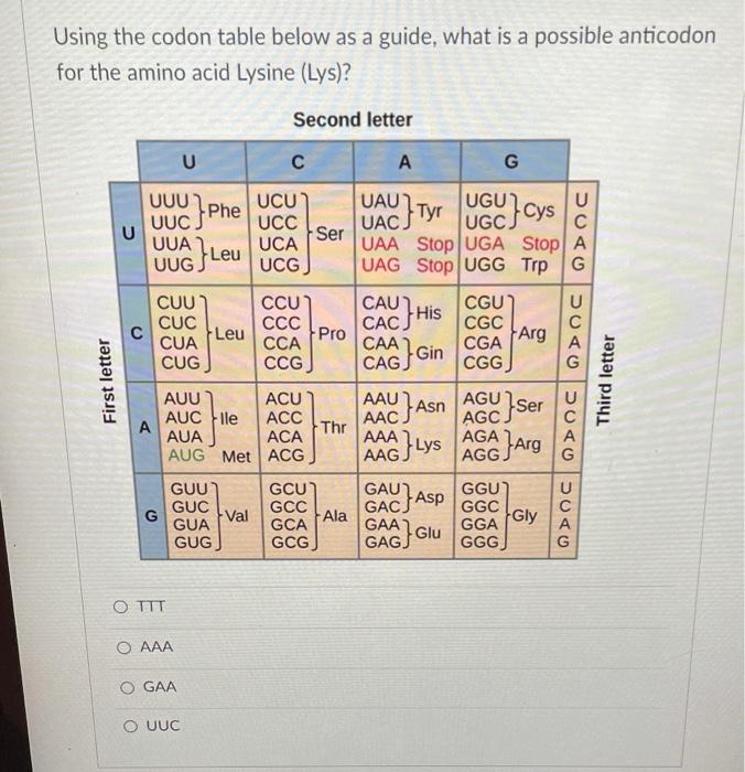 Solved Using the codon table below as a guide, what is a | Chegg.com