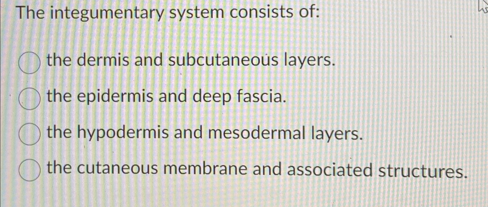 Solved The integumentary system consists of:the dermis and | Chegg.com