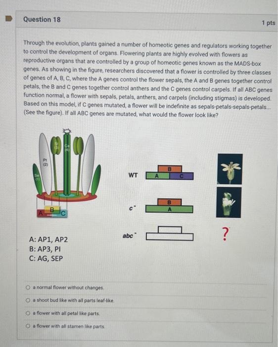 Solved Through the evolution, plants gained a number of | Chegg.com
