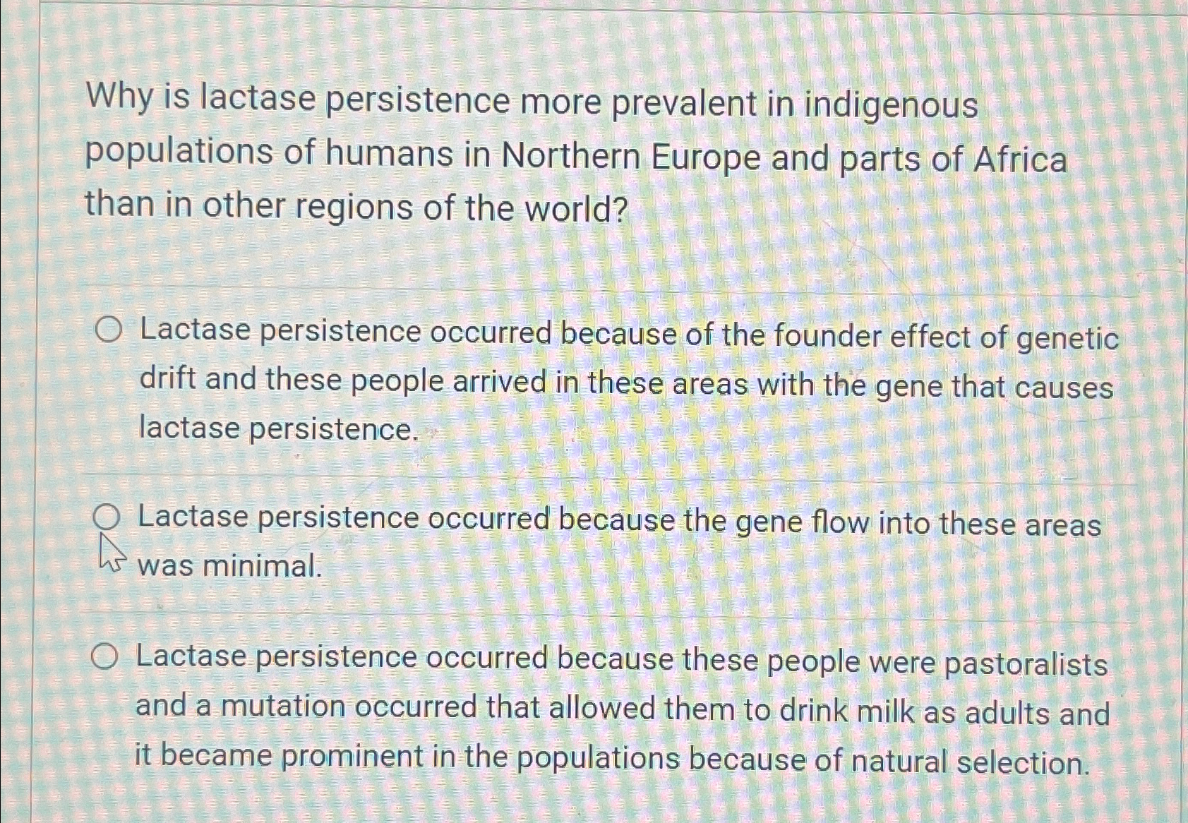 Solved Why is lactase persistence more prevalent in | Chegg.com