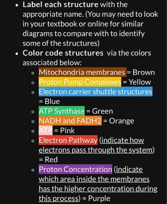 Solved Electron Transport Chain- Label each structure with | Chegg.com
