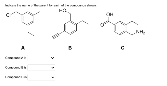 Solved Indicate the name of the parent for each of the | Chegg.com