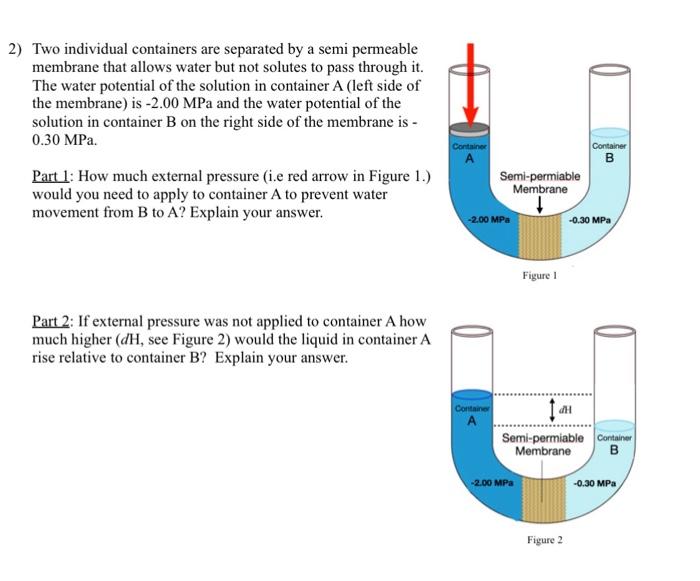 Solved Two individual containers are separated by a semi | Chegg.com